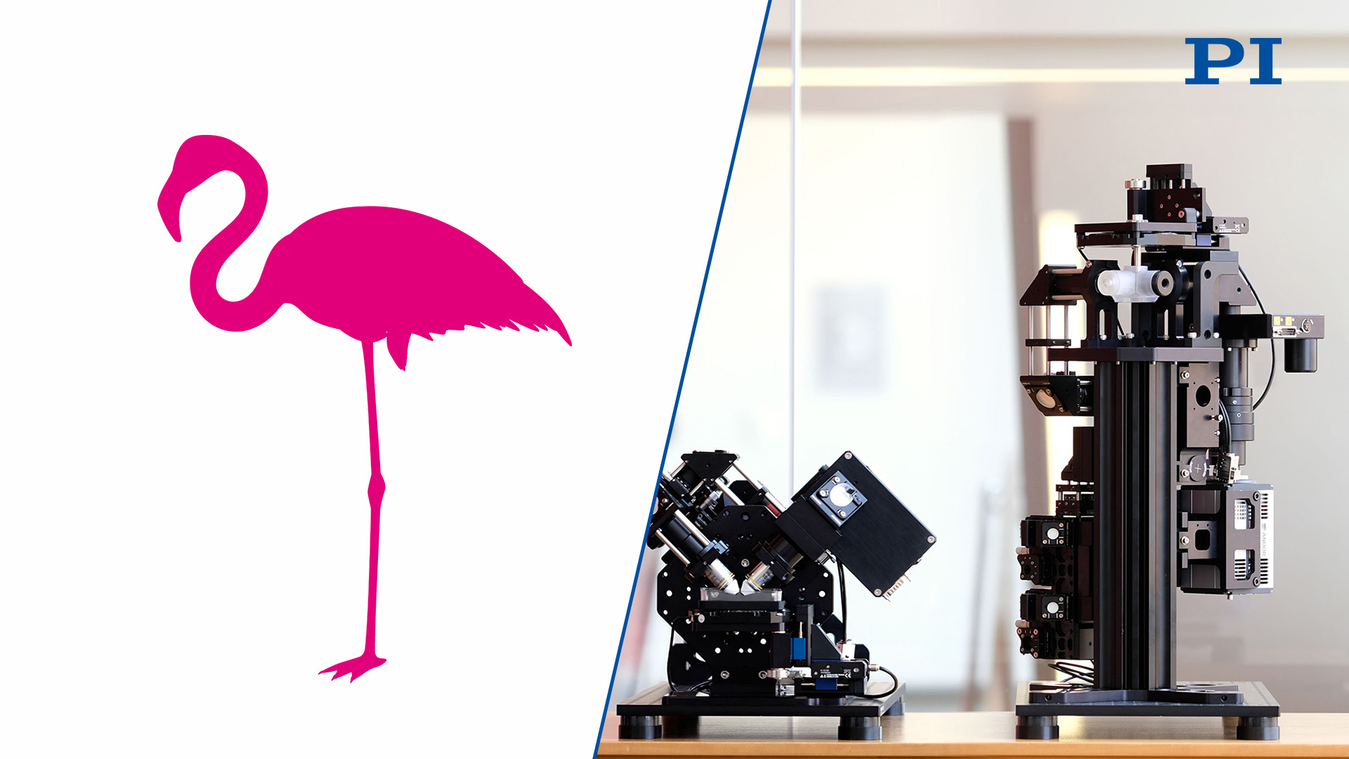 Flamingo Light Sheet Microscopes Rely on Drives from PI